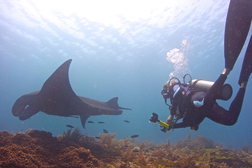 Manta Mother and Marine Scientist, Stephanie Venables