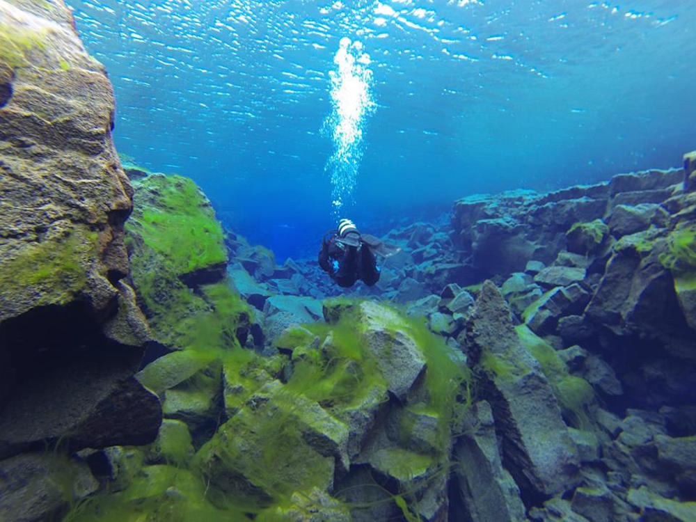 Things you need to know before diving in Silfra, Iceland