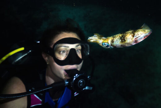 Night Diving - Everything You Need to Know - Girls that Scuba