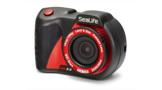 Underwater Cameras for Scuba Diving - Ultimate Beginner's Guide