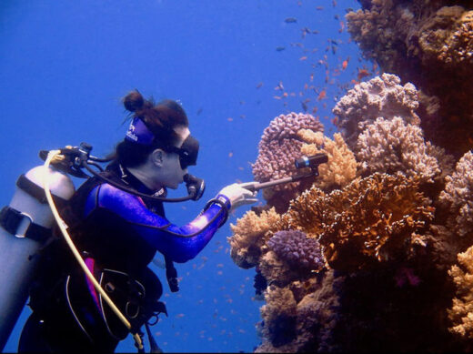 Underwater Cameras for Scuba Diving - Ultimate Beginner's Guide