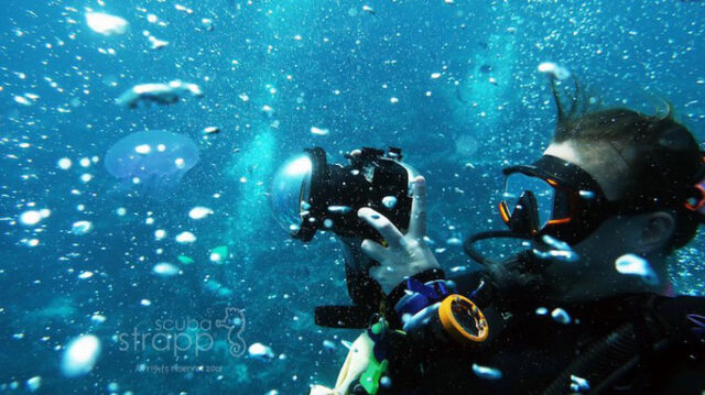 Underwater Cameras for Scuba Diving - Ultimate Beginner's Guide