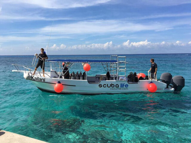 Scuba Diving in Cozumel, Mexico