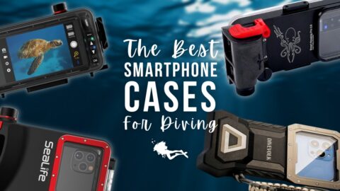 Best Underwater Phone Cases for Divers