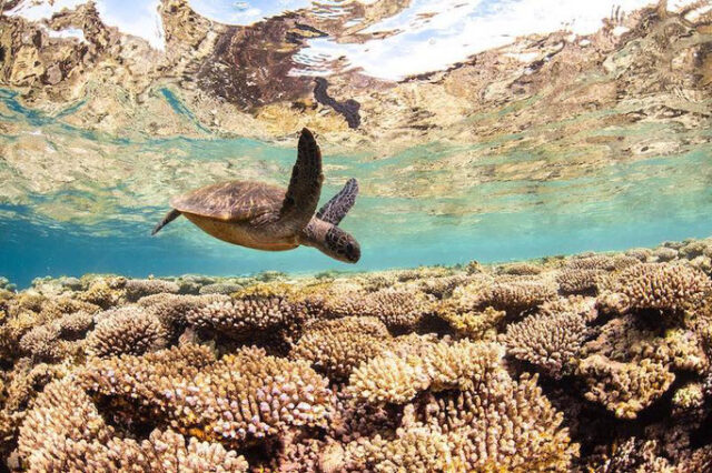 The best dive destinations to dive in 2020