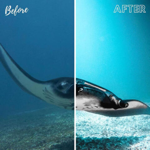 How to look good in underwater photos