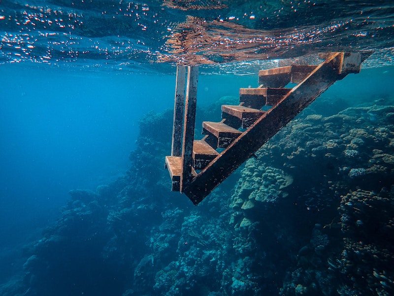 Dipping into Local Diving - Why, where and how?