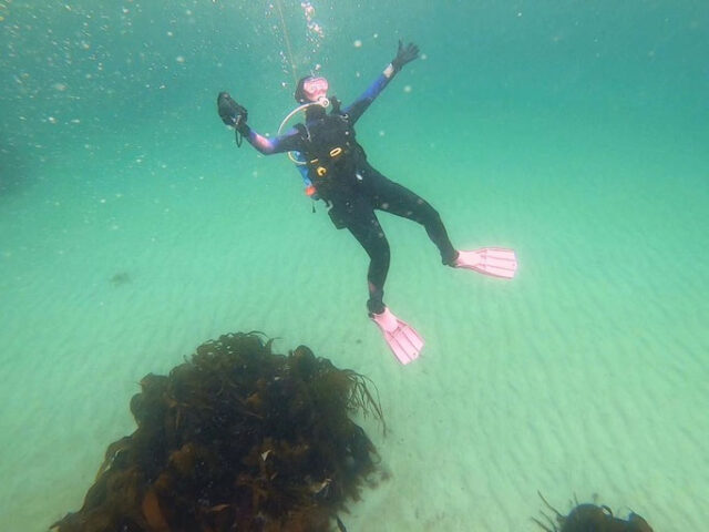 Scuba diving in England: Talland Bay, Cornwall