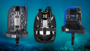 The Best Women's BCDs