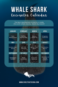 Where to Swim With Whale Sharks - A Month-by-Month Guide