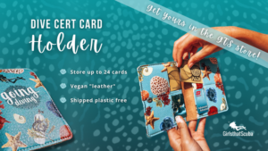 How to become a Scientific Diver