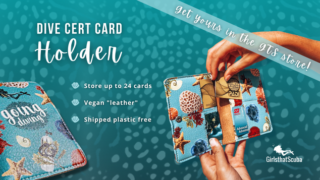 5 Things You Should Never Do Right After Scuba Diving