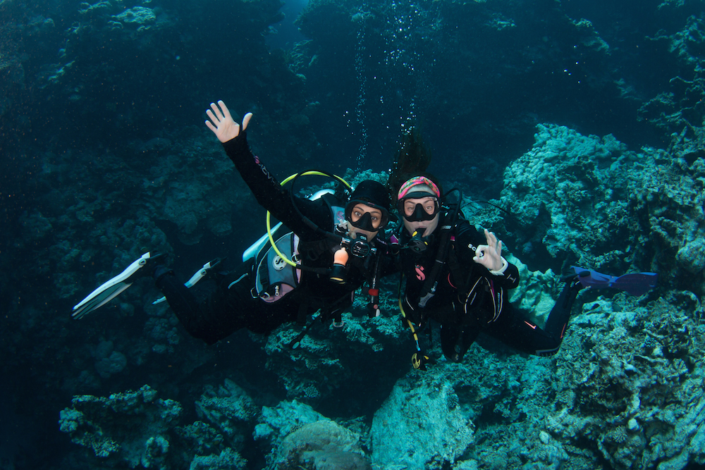 How to choose the RIGHT Dive Centre to do your Divemaster Internships with