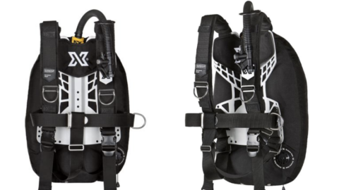 Things You Need to Know Before You Buy a Backplate and Wing