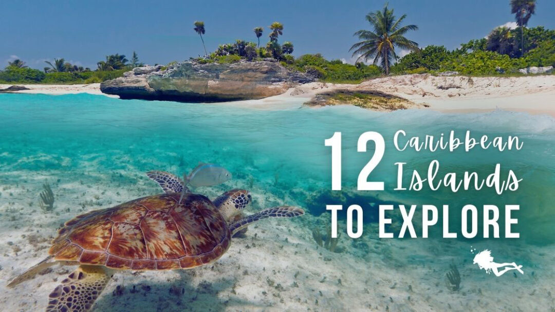 The Best Diving in the Caribbean - 12 Islands to Explore