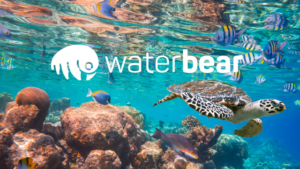 Thought provoking ocean documentaries to watch right now