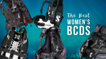 The Best Women's BCDs