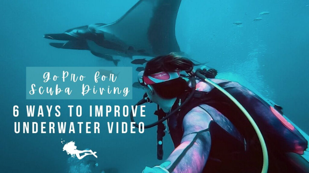 GoPro for Scuba Diving - 6 Ways to Improve Underwater Video