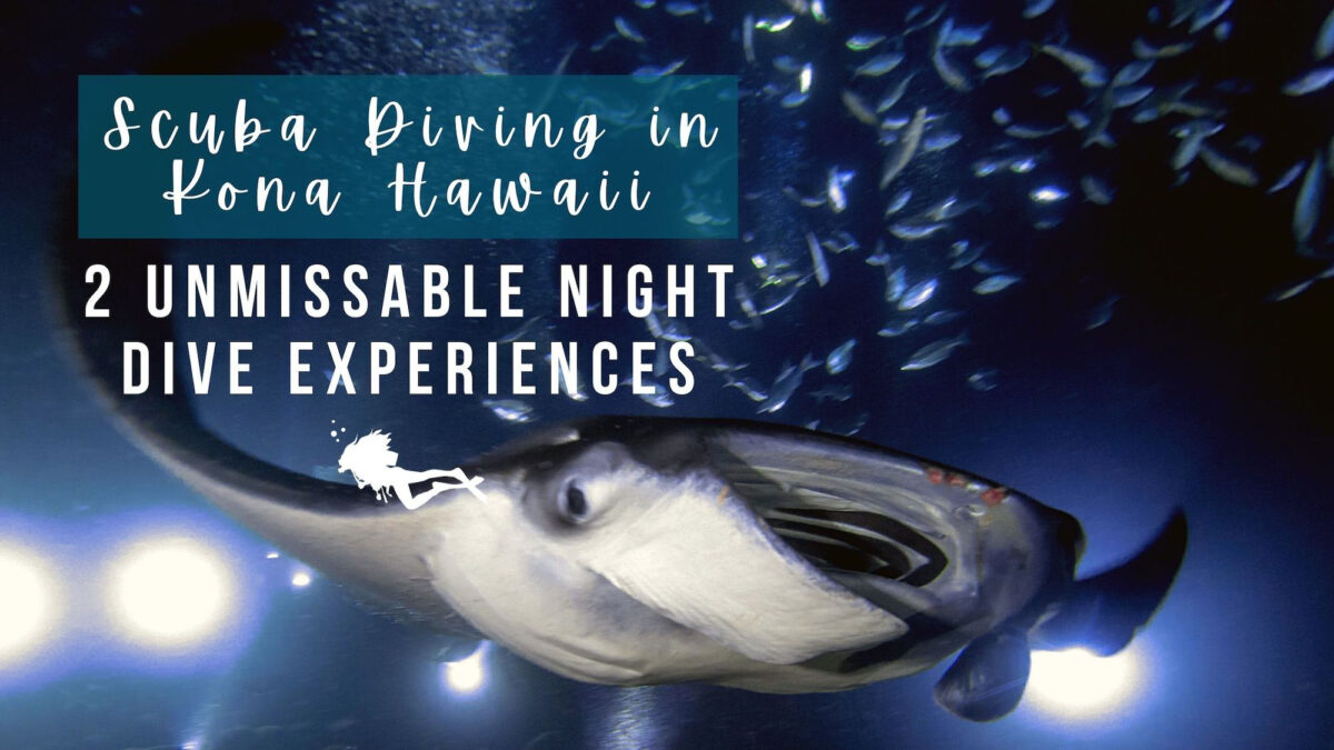 Scuba Diving in Kona Hawaii - 2 Unmissable Night Dives