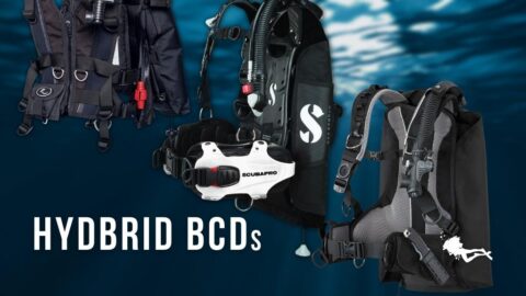 Wing vs Jacket BCD - How to Choose the Best BCD For You