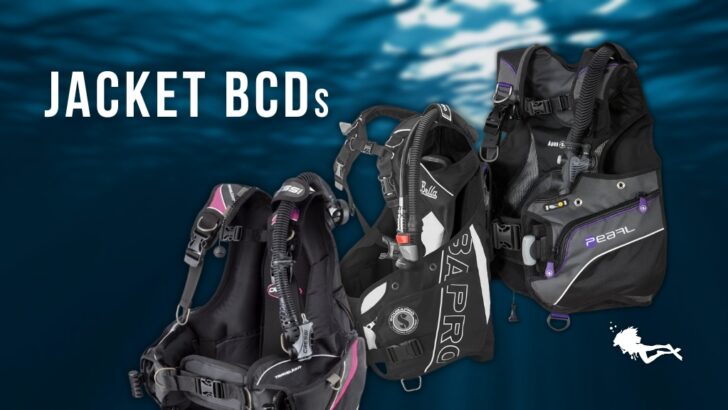 Wing vs Jacket BCD - How to Choose the Best BCD For You