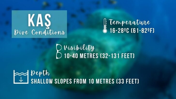 Kaş Scuba Diving – The Ultimate Guide - Girls that Scuba