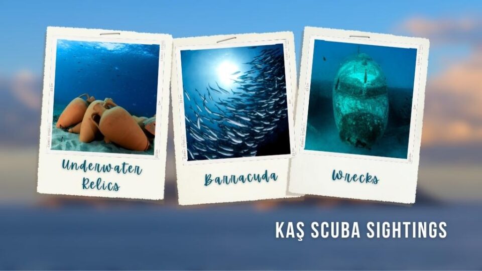 Kaş Scuba Diving – The Ultimate Guide - Girls that Scuba