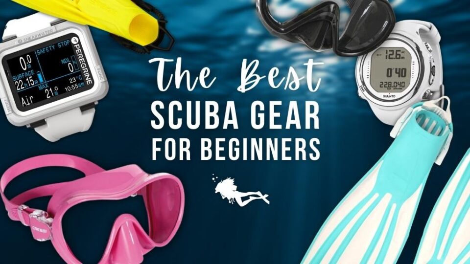 The 10 Best Dive Sites in the Philippines - Girls that Scuba
