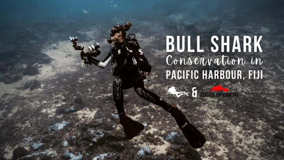 Girls that Scuba - The World's Largest Scuba Diving Community for Women