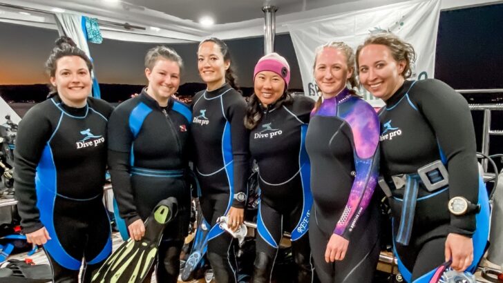 Night Diving - Everything You Need to Know - Girls that Scuba