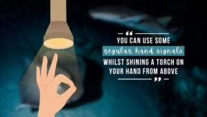 Night Diving - Everything You Need to Know - Girls that Scuba