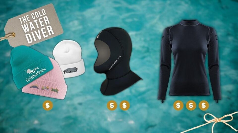 The Best Gifts for Scuba Divers - 33 Ideas for Every Diver & Budget