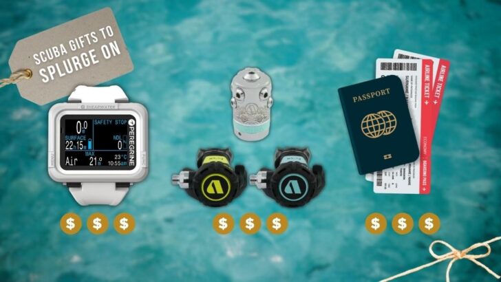 The Best Gifts for Scuba Divers - 33 Ideas for Every Diver & Budget