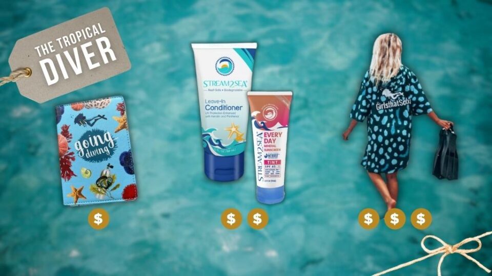 The Best Gifts for Scuba Divers - 33 Ideas for Every Diver & Budget