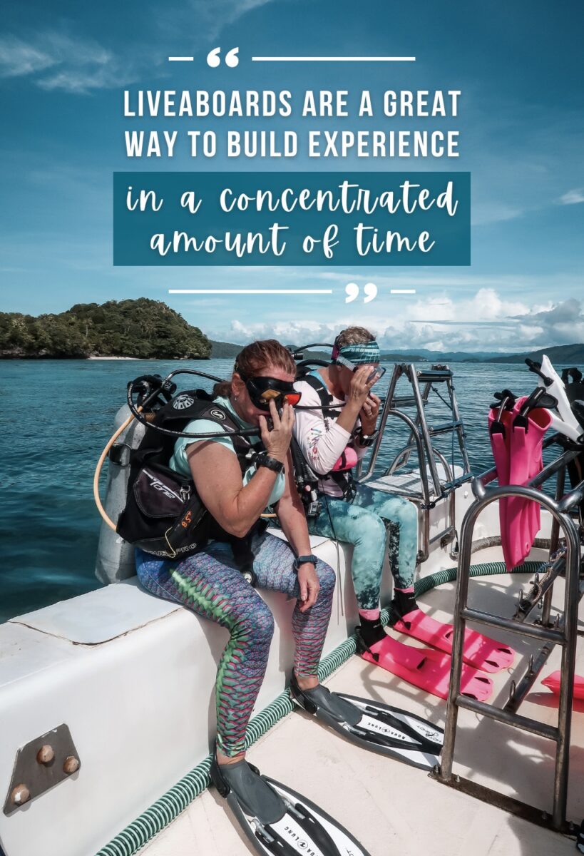 5 Beginner Liveaboard Destinations You Need to Know - Girls that Scuba