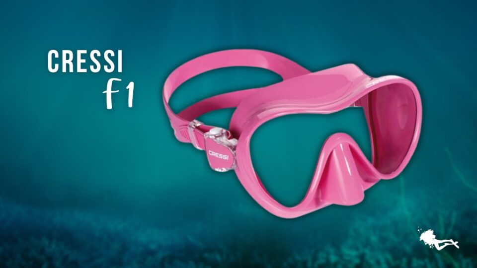 The Best Scuba Masks for Women - 7 Masks to Try - Girls that Scuba
