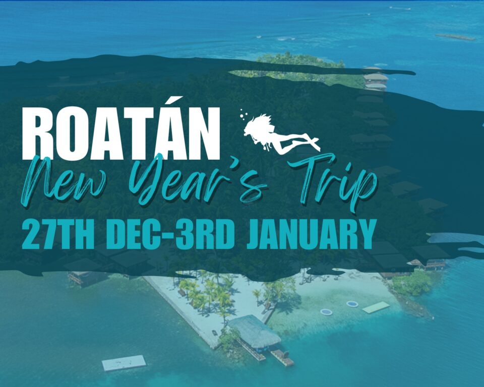 Girls that Scuba Trips - Girls that Scuba