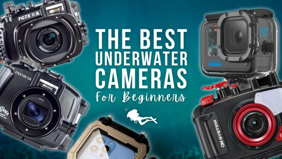 What Is Cave Diving? - Key Things To Know - Girls that Scuba